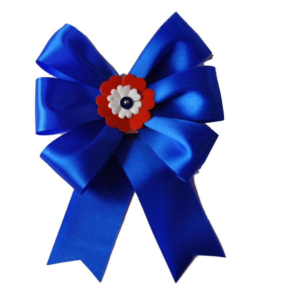 Cocarde conscrit parade tricolore |Conscrits Villefranche- Fête en folie